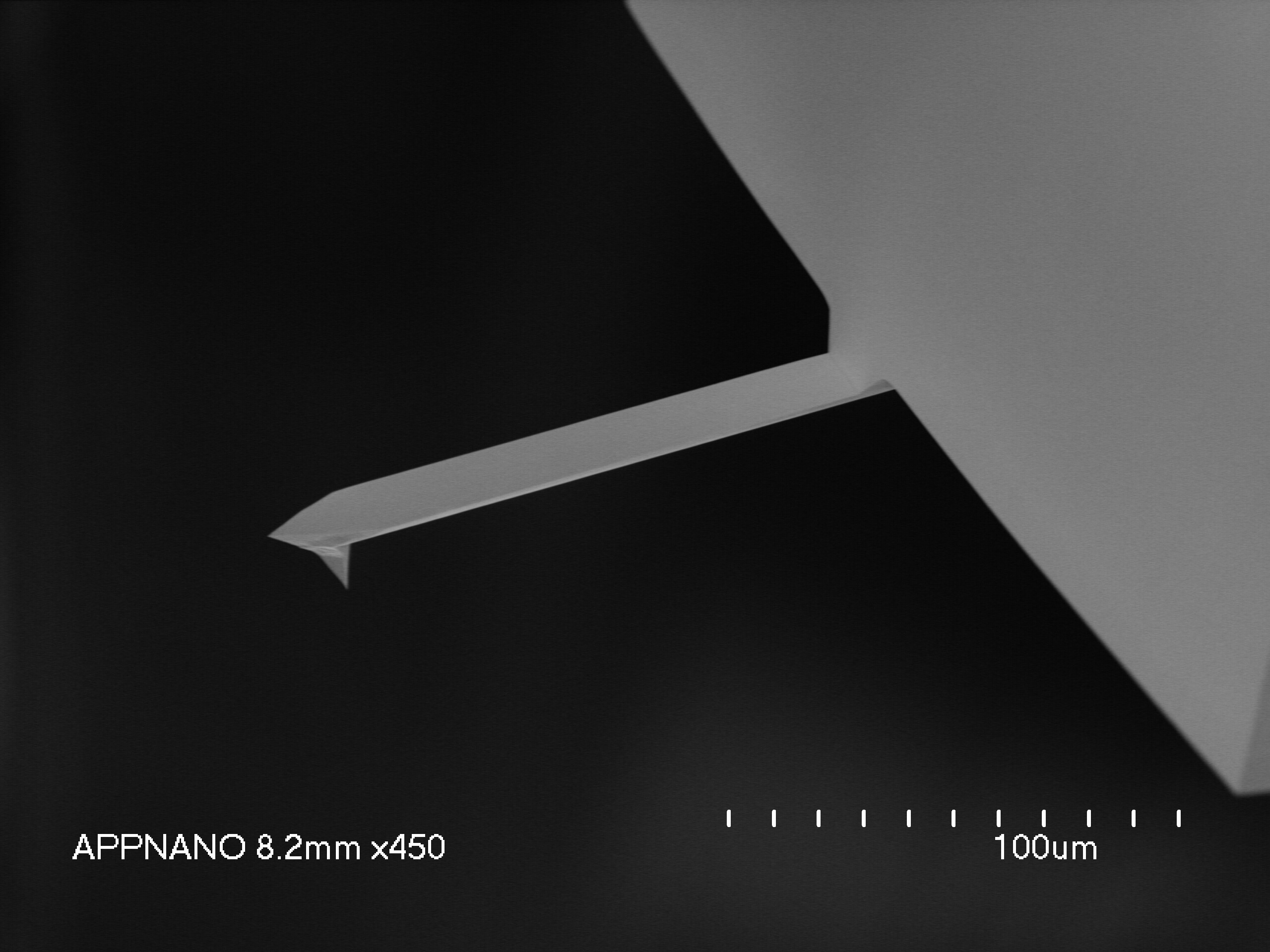 导电AFM探针 PtSi-ACT