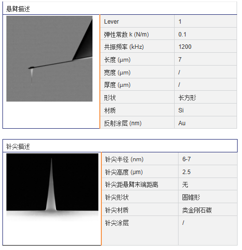 AFM探针快扫描探针Quantum AC10 10根/盒